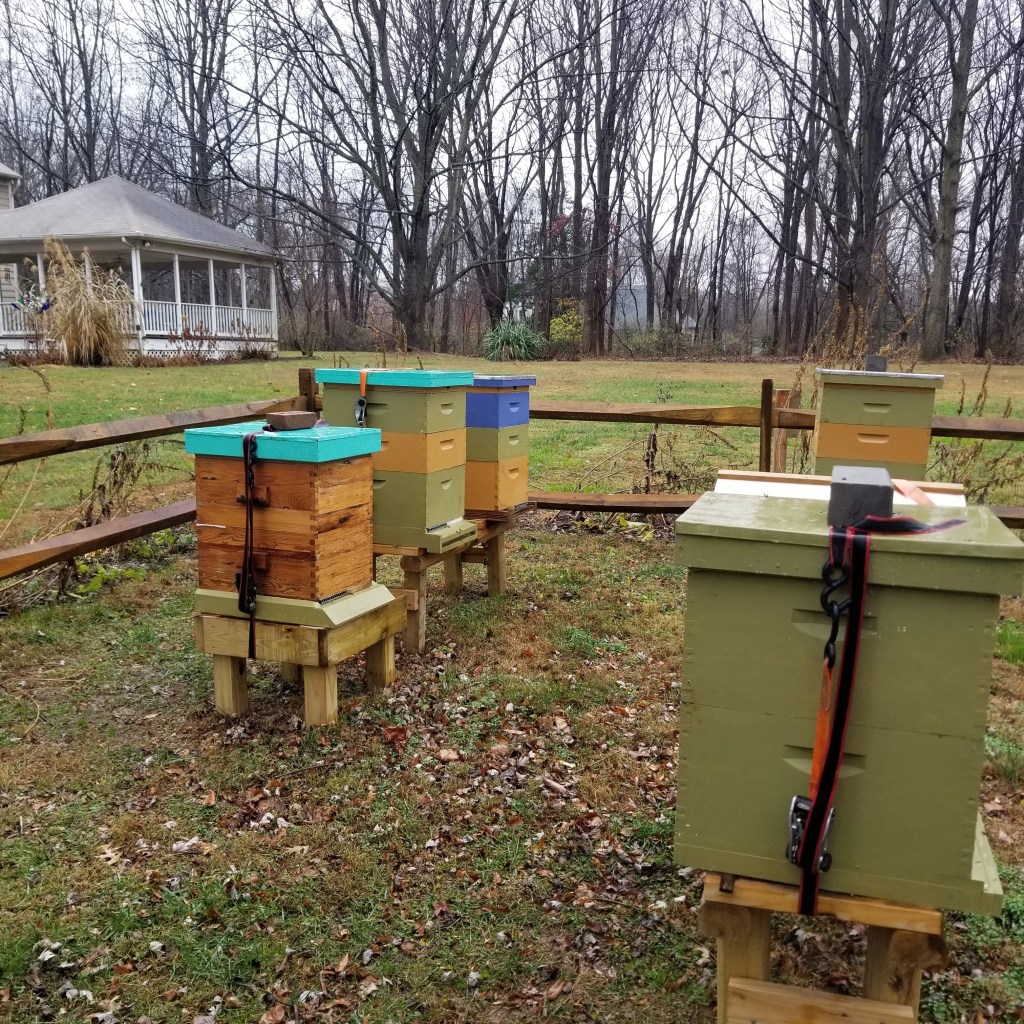 Christ the King Bees – Bee Keeping Ministry in Great Falls Virginia